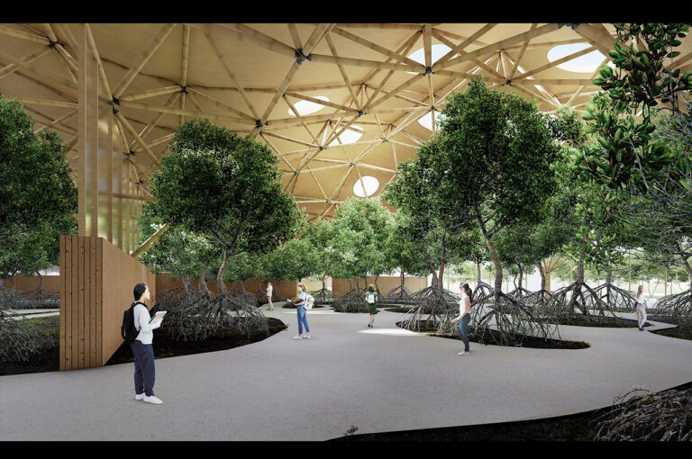 Shenzhen Mangrove Wetland Museum - AZPML